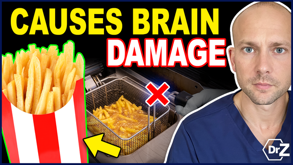 Is Fried Food Causing Brain Damage!? - New Research! - NuVision Health ...