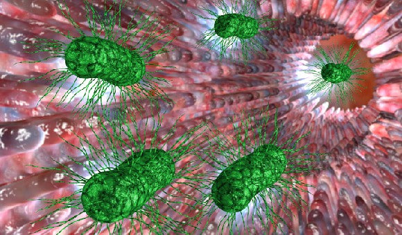 The SIBO Diet: 10 Foods That Restore Gut Health - NuVision Health Center